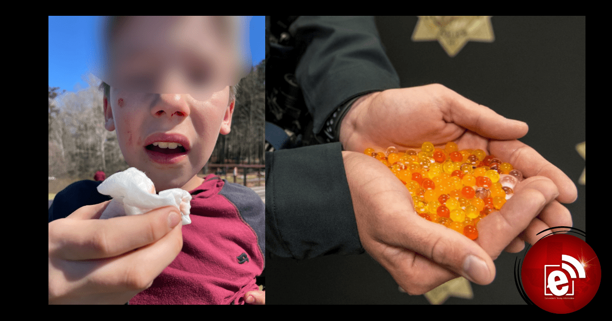 Ticked-off Toddlers Trample Tik-Tok's Tranquility with Terrifying New ...