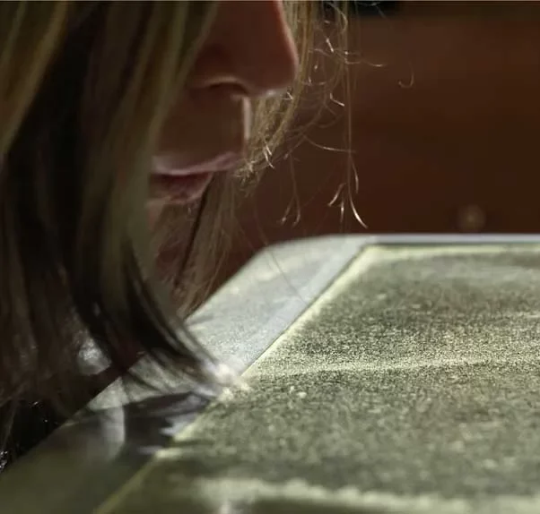 Predatory Dust Mites are Leaving Spores in Your Home | TNT Home